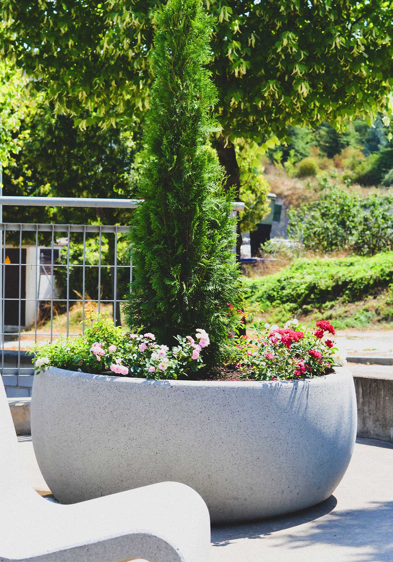 Planters Street Planters Road Planters Ireland