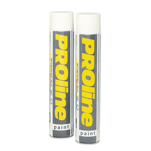 Proline Line Marking Paint Kit | Pittman