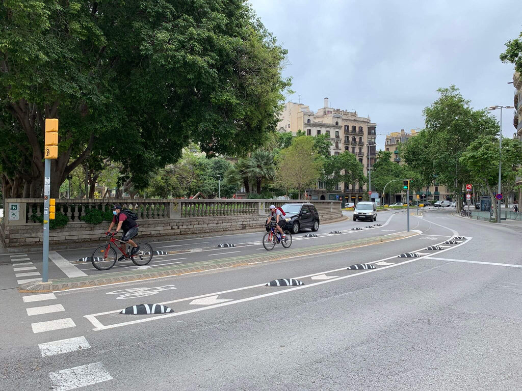 Zebra® | Zero Bicycle Lane Separator | Pittman