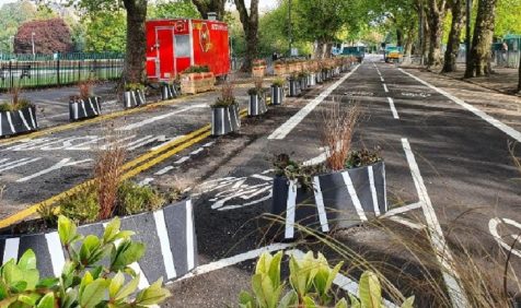 Zebra® | Planter Cycle Lane Separator | Pittman