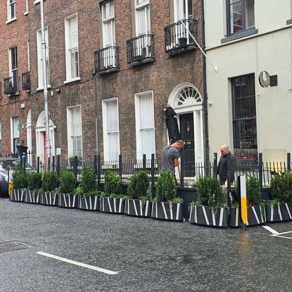 Zebra® | Planter Cycle Lane Separator | Pittman